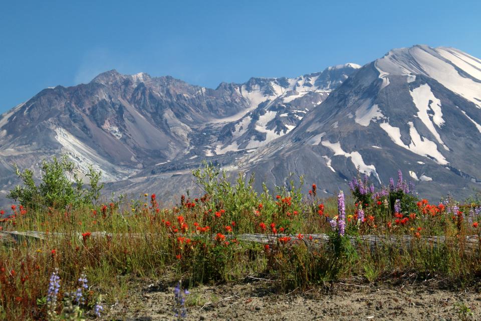 Spring in Cascades 1 | Shutterbug